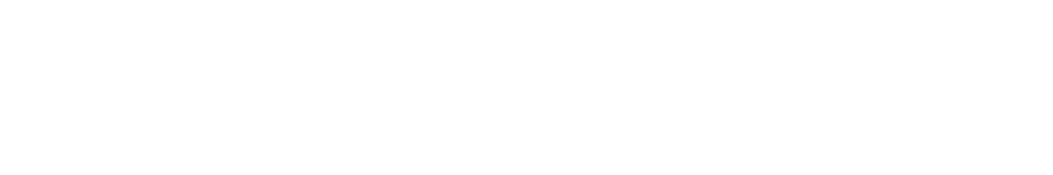 Vizco - Advanced Access Control Solutions