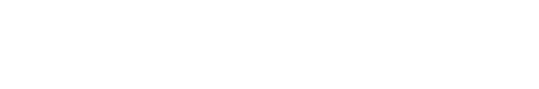 Vizco - Advanced Access Control Solutions